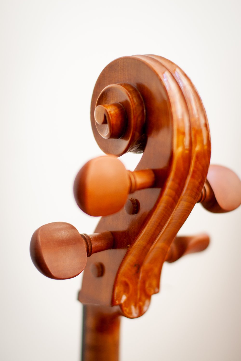 Cinc Cordes - Harriet Kjær - Luthier en Barcelona