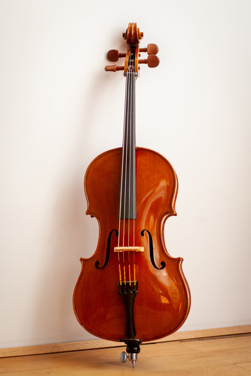 Cinc Cordes - Harriet Kjær - Luthier en Barcelona